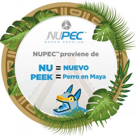 Quiénes somos - NUPEC