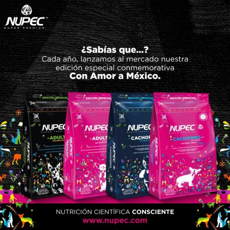 Descubre cómo festejamos en NUPEC nuestra herencia mexicana - NUPEC